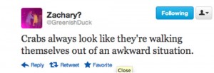 37 of the Funniest Tweets Ever