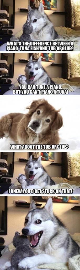 This Pun Dog Has a Few Jokes He Wants to Tell You
