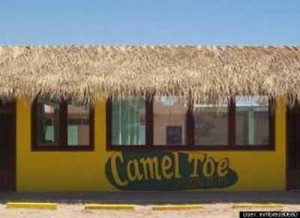 47 Hilariously Inappropriate Business Names - Dose of Funny