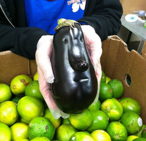 32 Things That Look Like Other Things