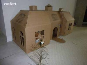Super Cool Cat Forts - Dose of Funny