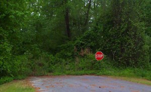 Hilariously Obvious Warning Signs - Dose of Funny