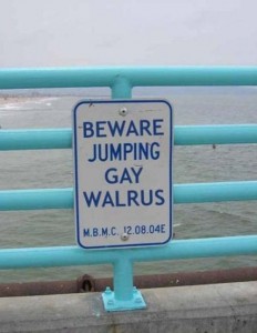 32 Weird and Funny Signs - Dose of Funny